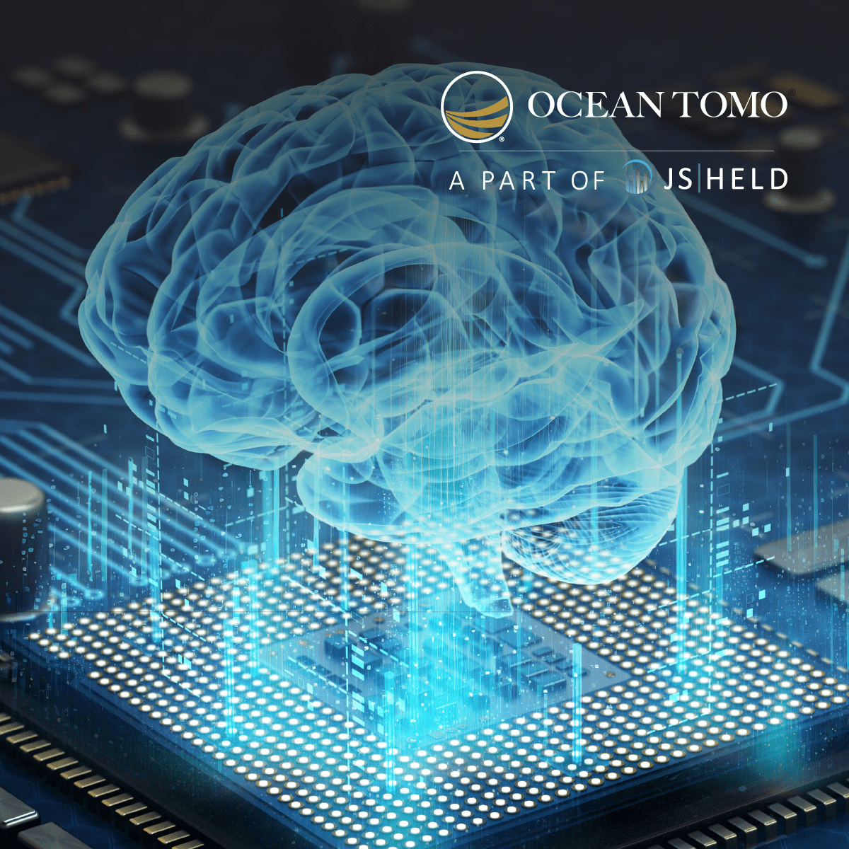 Insights - Ocean Tomo